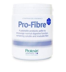 Hvorfor spiser hunde afføring og hvordan kan man stoppe det? - Gærum ...